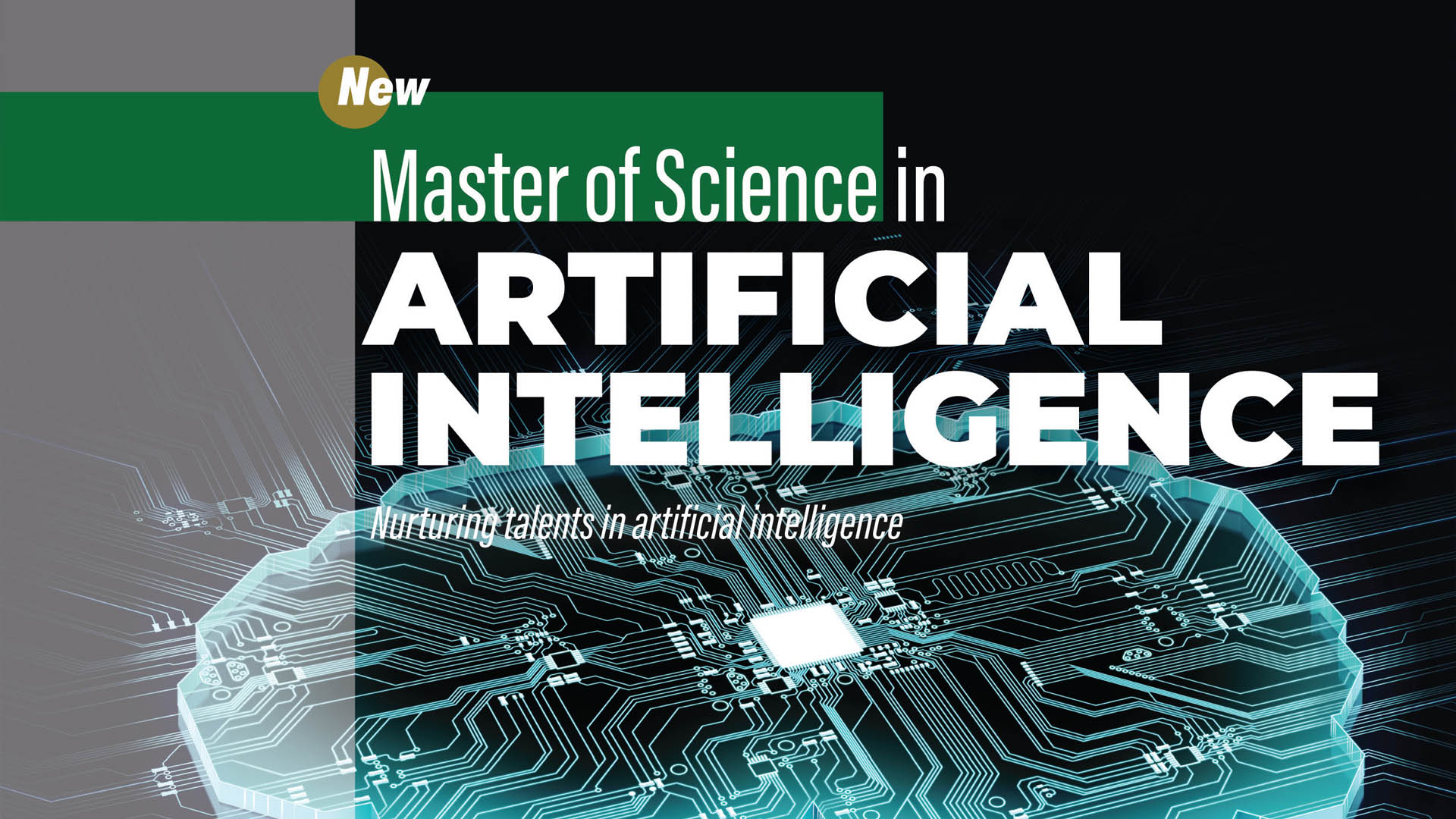 Study - HKU Musketeers Foundation Institute of Data Science