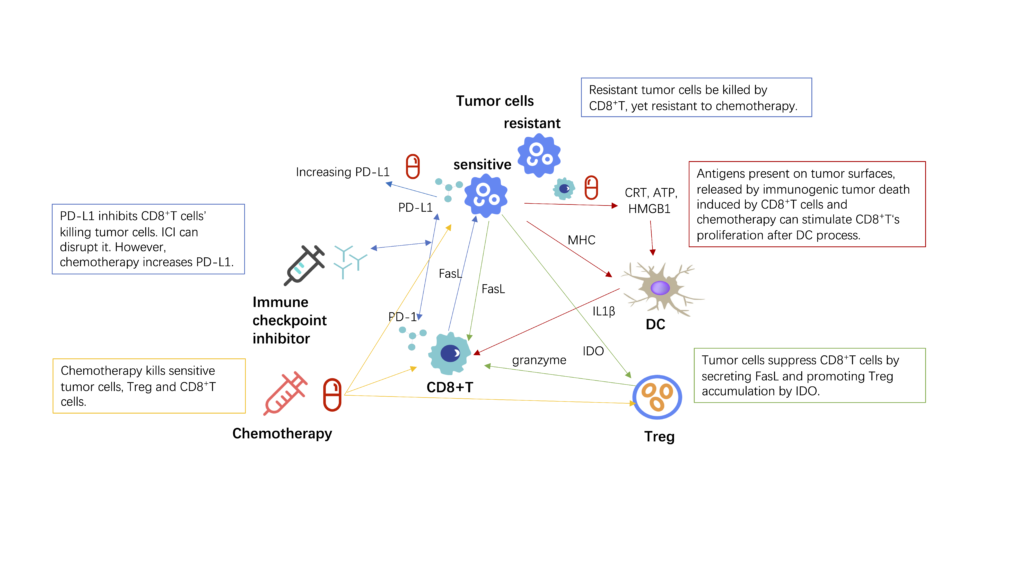 Revolutionizing Cancer Treatment with AI and Mathematical Modeling ...